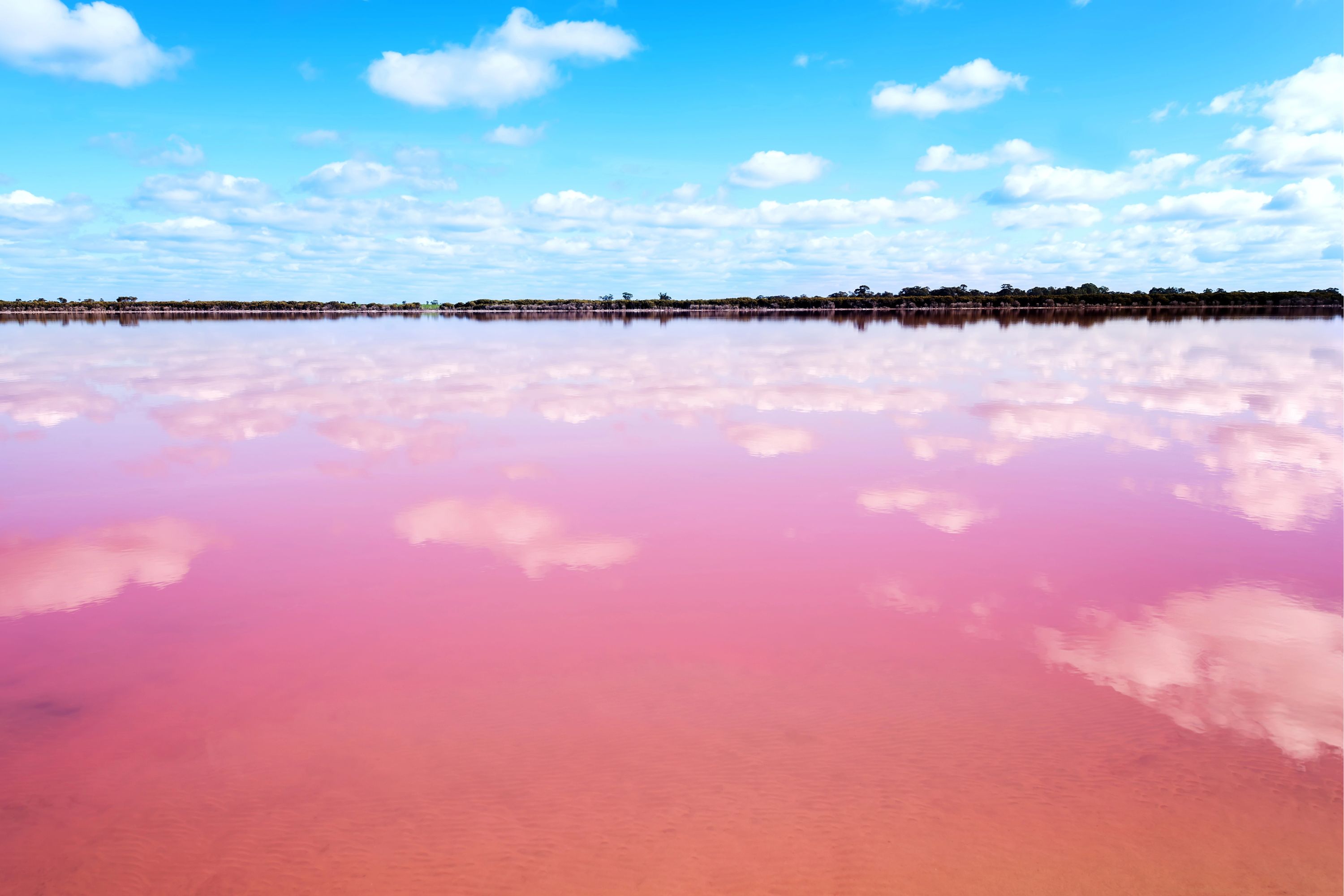 Pink Lake Locations | Western Australia | Pink Lake Road Trips